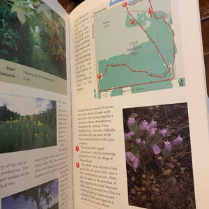 Prairie Pathfinders | Kitchen | Prairie Pathfinders Winnipeg Walks ...